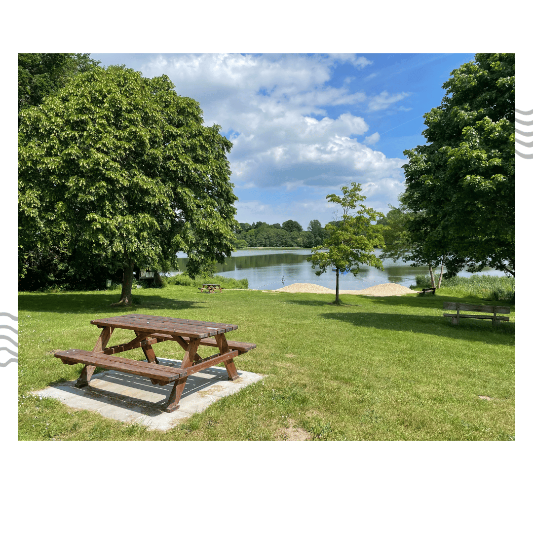 Reto de Gratitud y Amor Propio Día 27 – Rosa Rinaldi